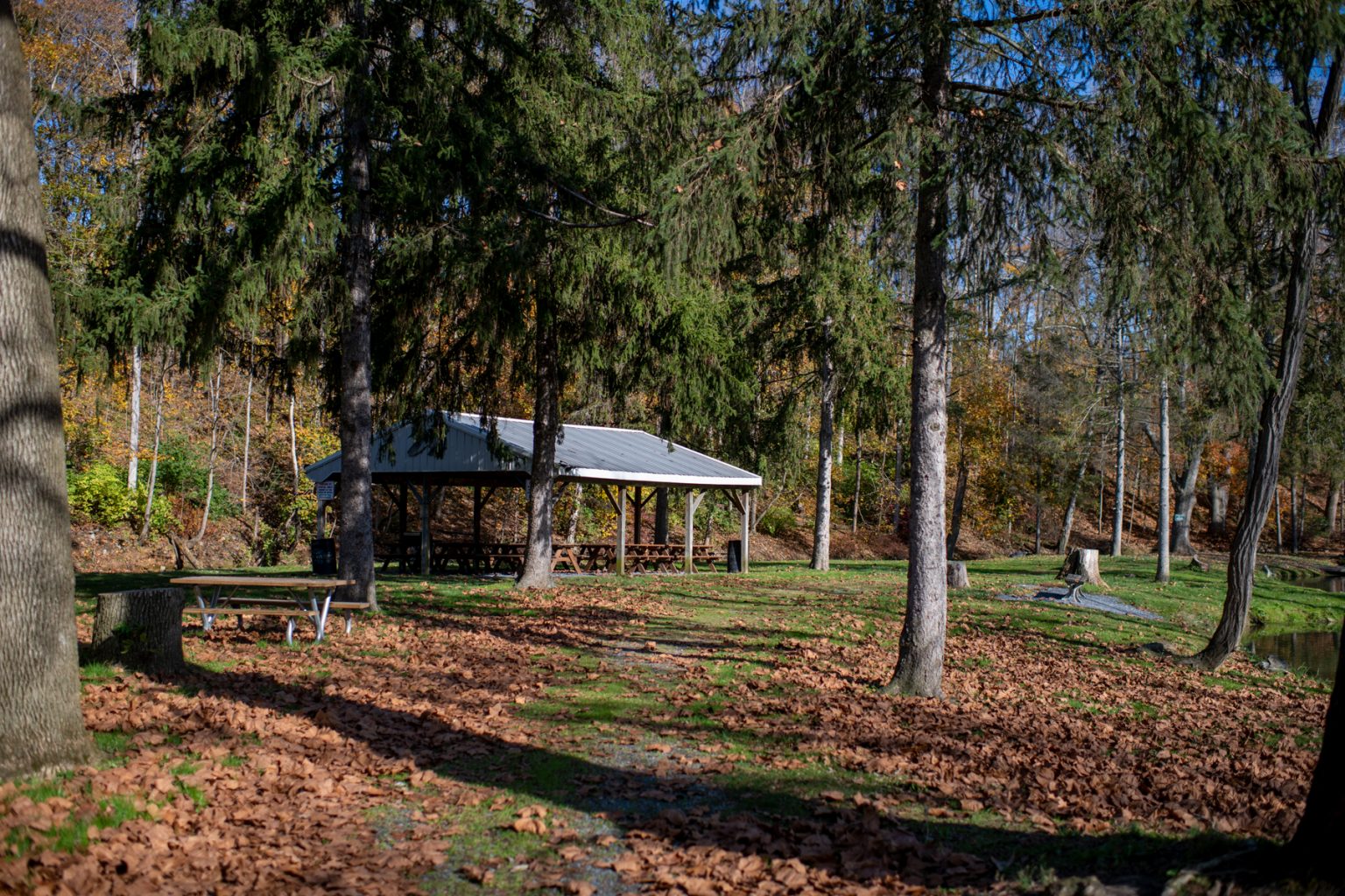 About - Limestone Springs