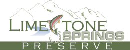 About - Limestone Springs